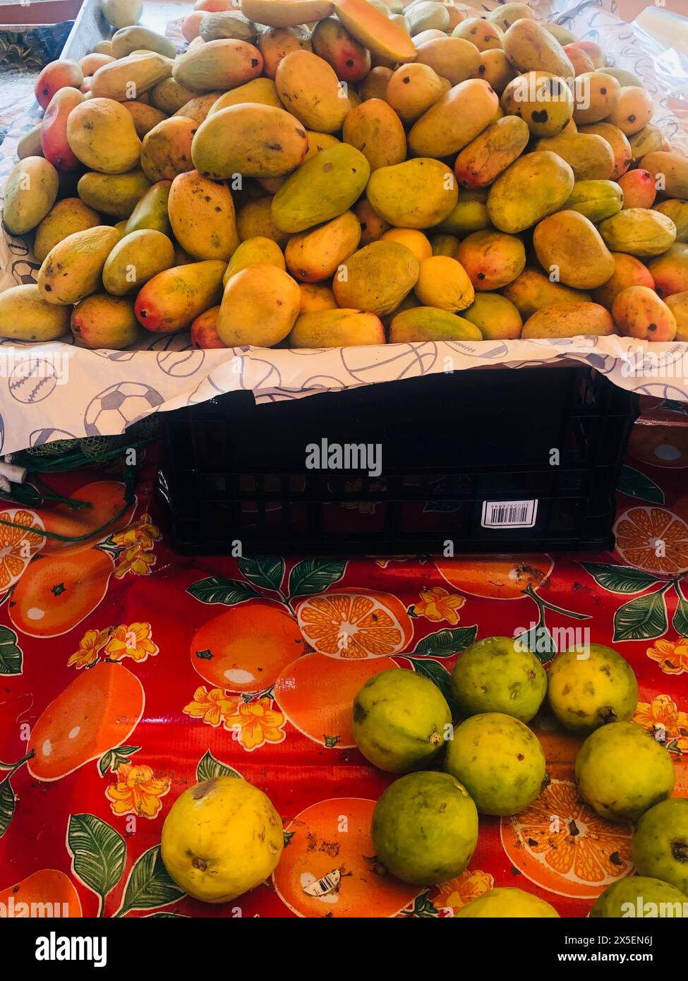 Bunch of mangoes at a fruit stand. Guadalajara, Mexico Stock Photo - Alamy