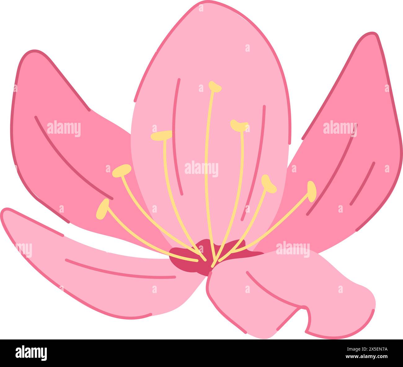 pink sakura cherry blossom cartoon vector illustration Stock Vector ...