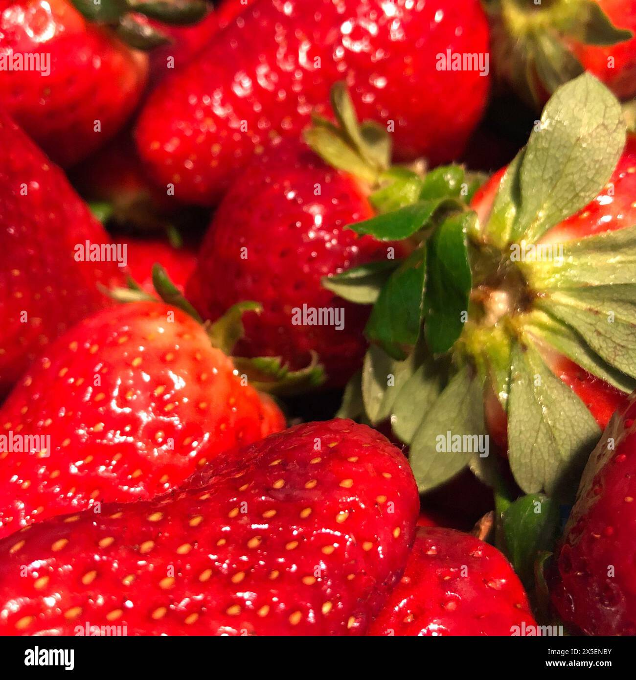Strawberry close-up. Guadalajara, Mexico Stock Photo - Alamy