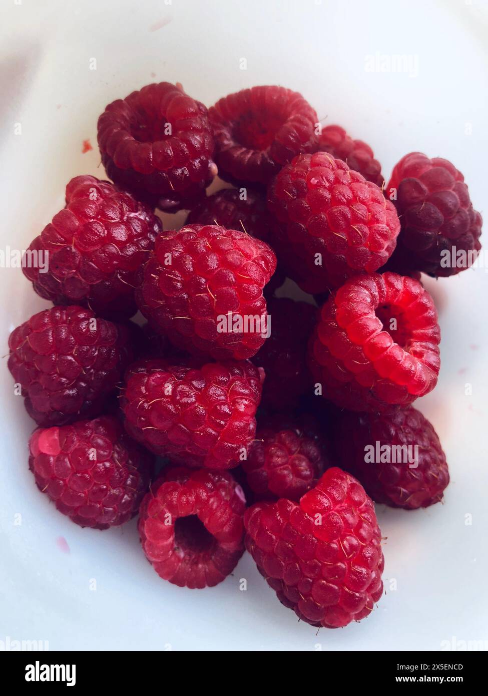 Collection of fresh red raspberries. Guadalajara, Mexico Stock Photo ...