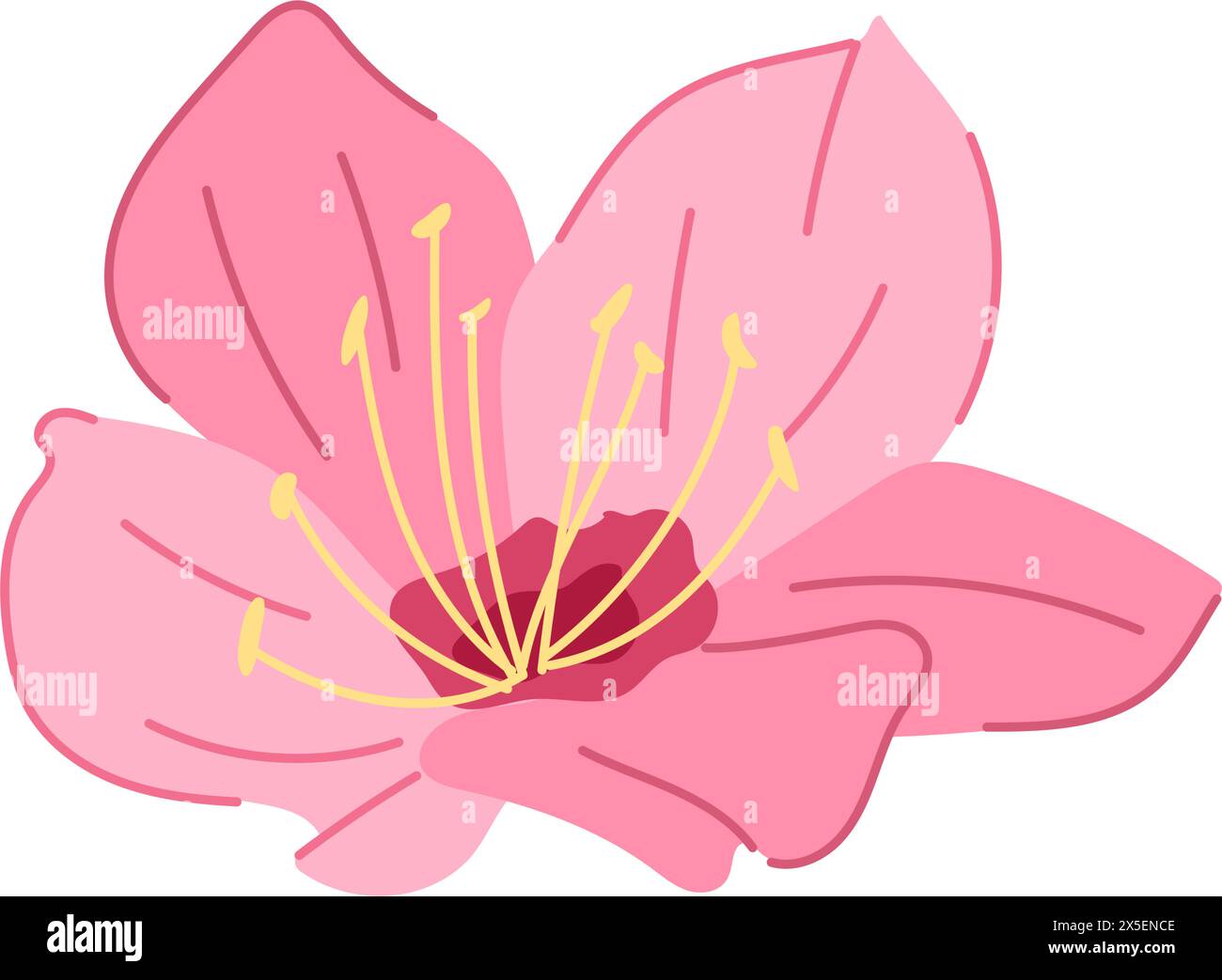 japan sakura cherry blossom cartoon vector illustration Stock Vector ...