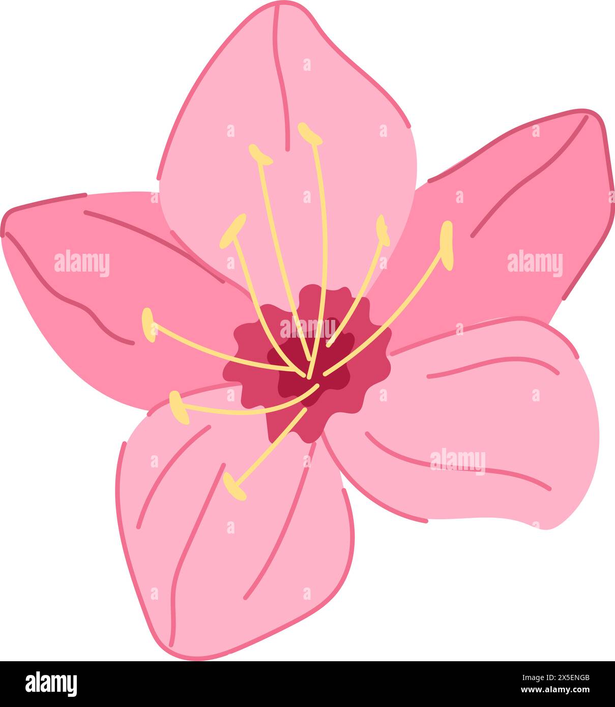 flower sakura cherry blossom cartoon vector illustration Stock Vector ...