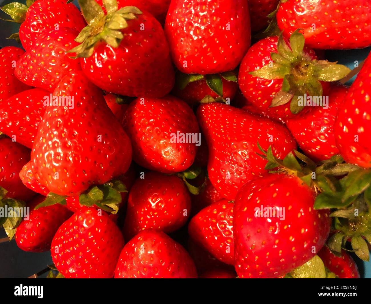 Strawberry close-up. Guadalajara, Mexico Stock Photo - Alamy