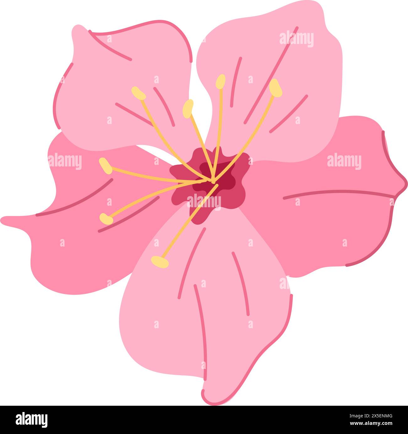 floral sakura cherry blossom cartoon vector illustration Stock Vector ...