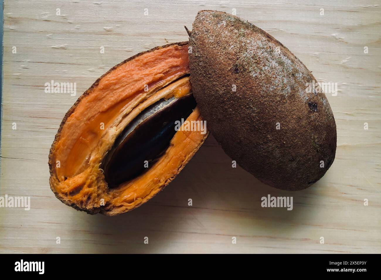 Large mamey sapote. Guadaljara, Mexico Stock Photo - Alamy