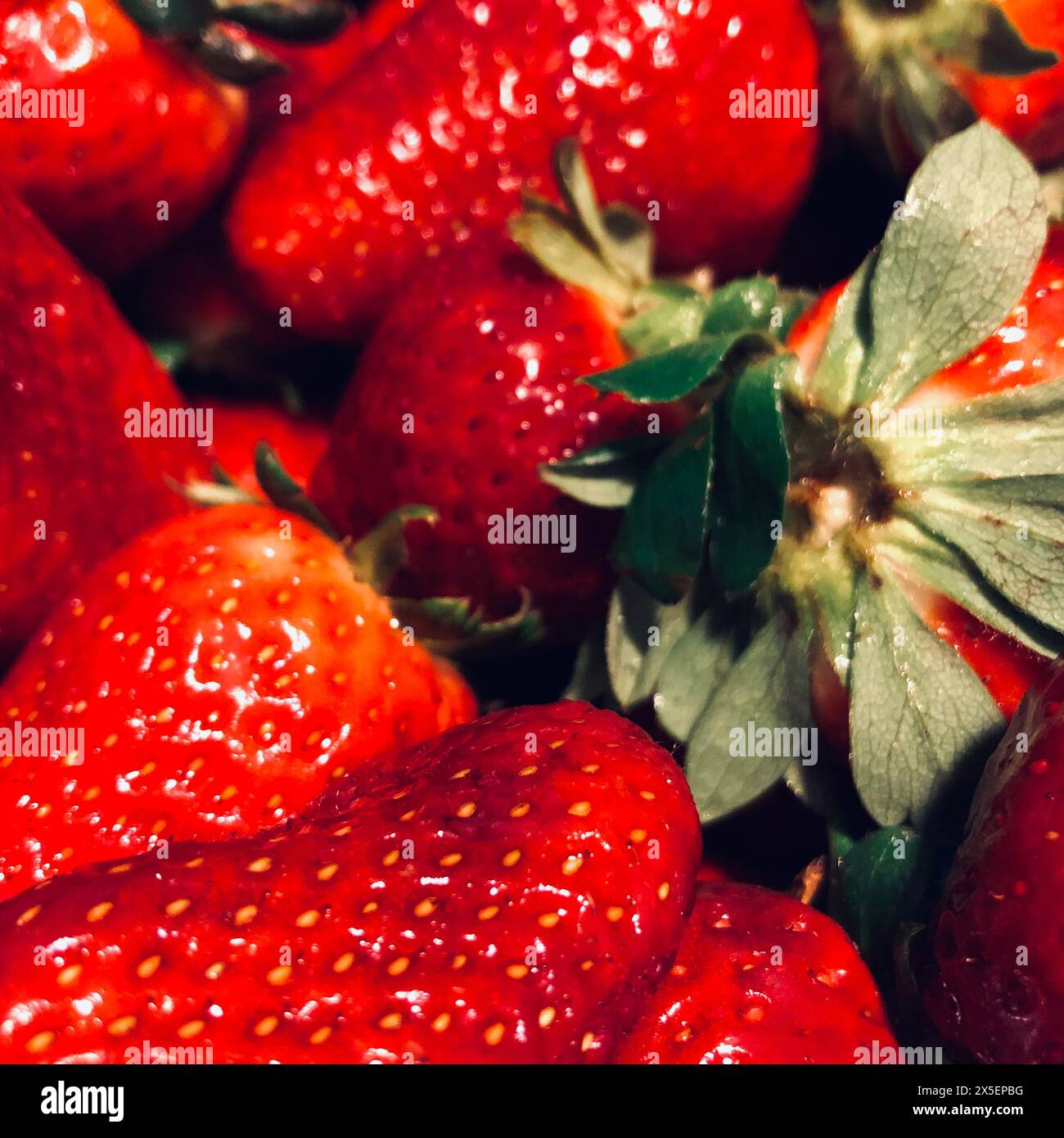 Strawberry close-up. Guadalajara, Mexico Stock Photo - Alamy