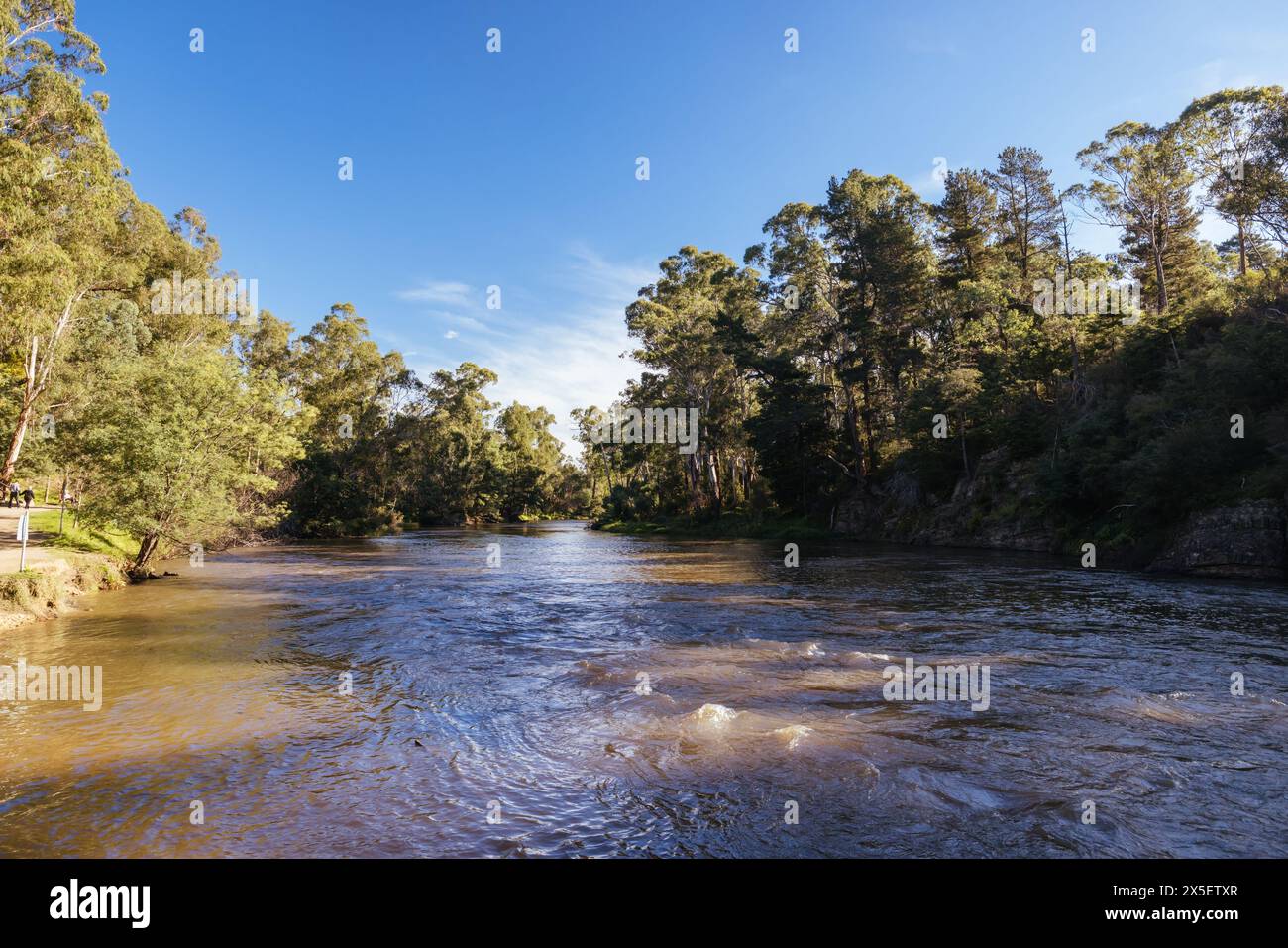 Warrandyte River Reserve in Melbourne Australia Stock Photo - Alamy