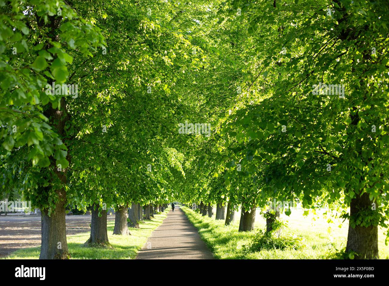 Ilford, east London Stock Photo - Alamy