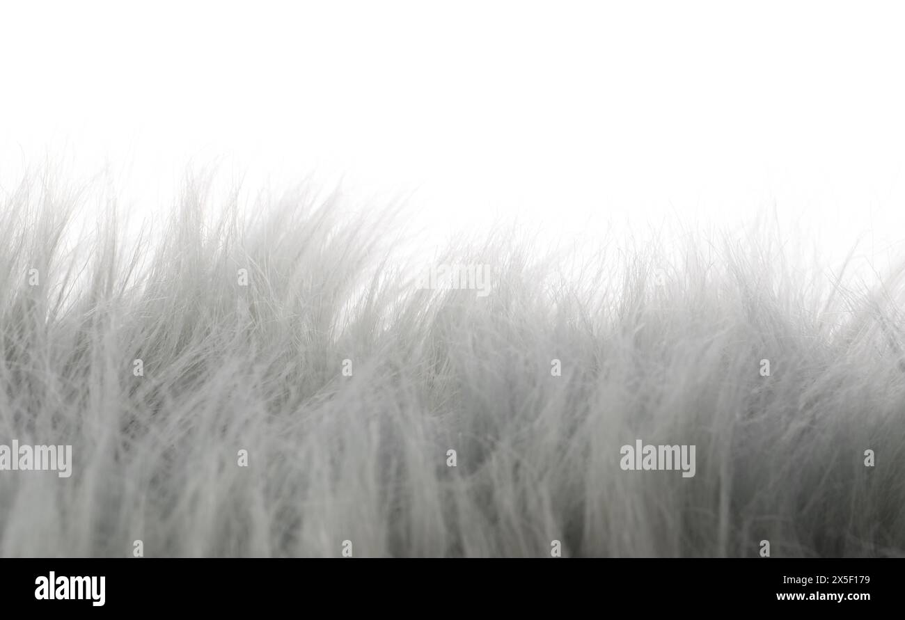 Soft grey faux fur isolated on white Stock Photo - Alamy