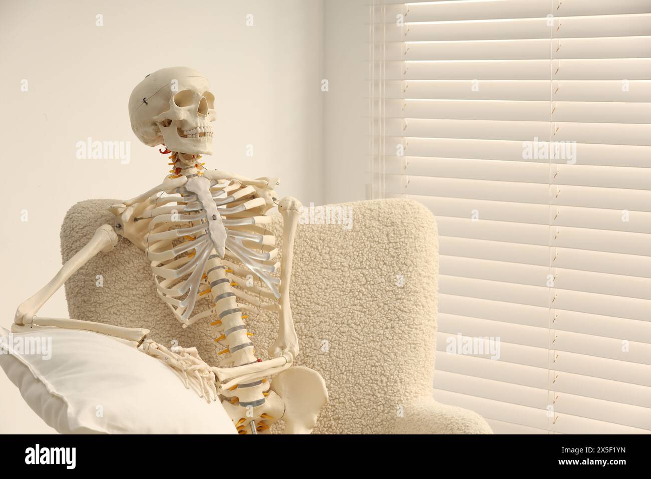 Waiting concept. Human skeleton sitting in armchair indoors, space for ...
