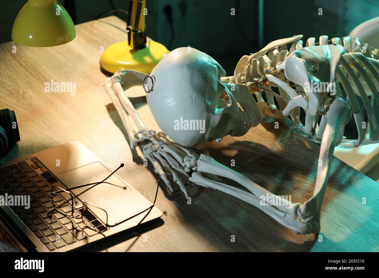 Waiting concept. Human skeleton sleeping at wooden table with laptop ...
