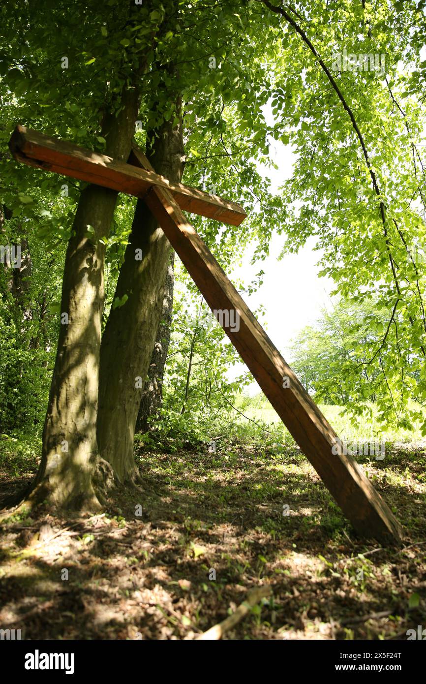 Wooden cross near trees in park outdoors Stock Photo - Alamy