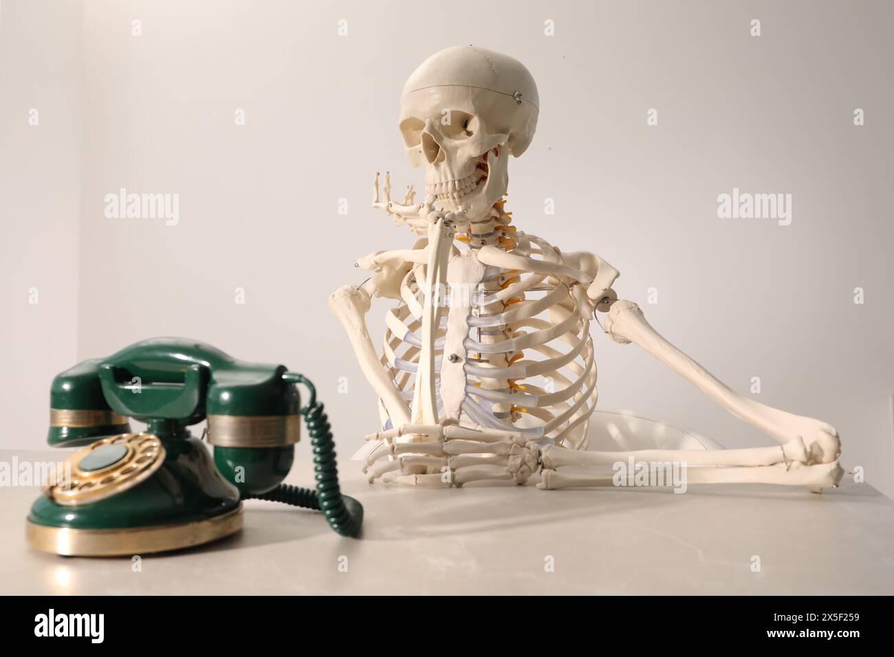 Waiting concept. Human skeleton at table with corded telephone against ...