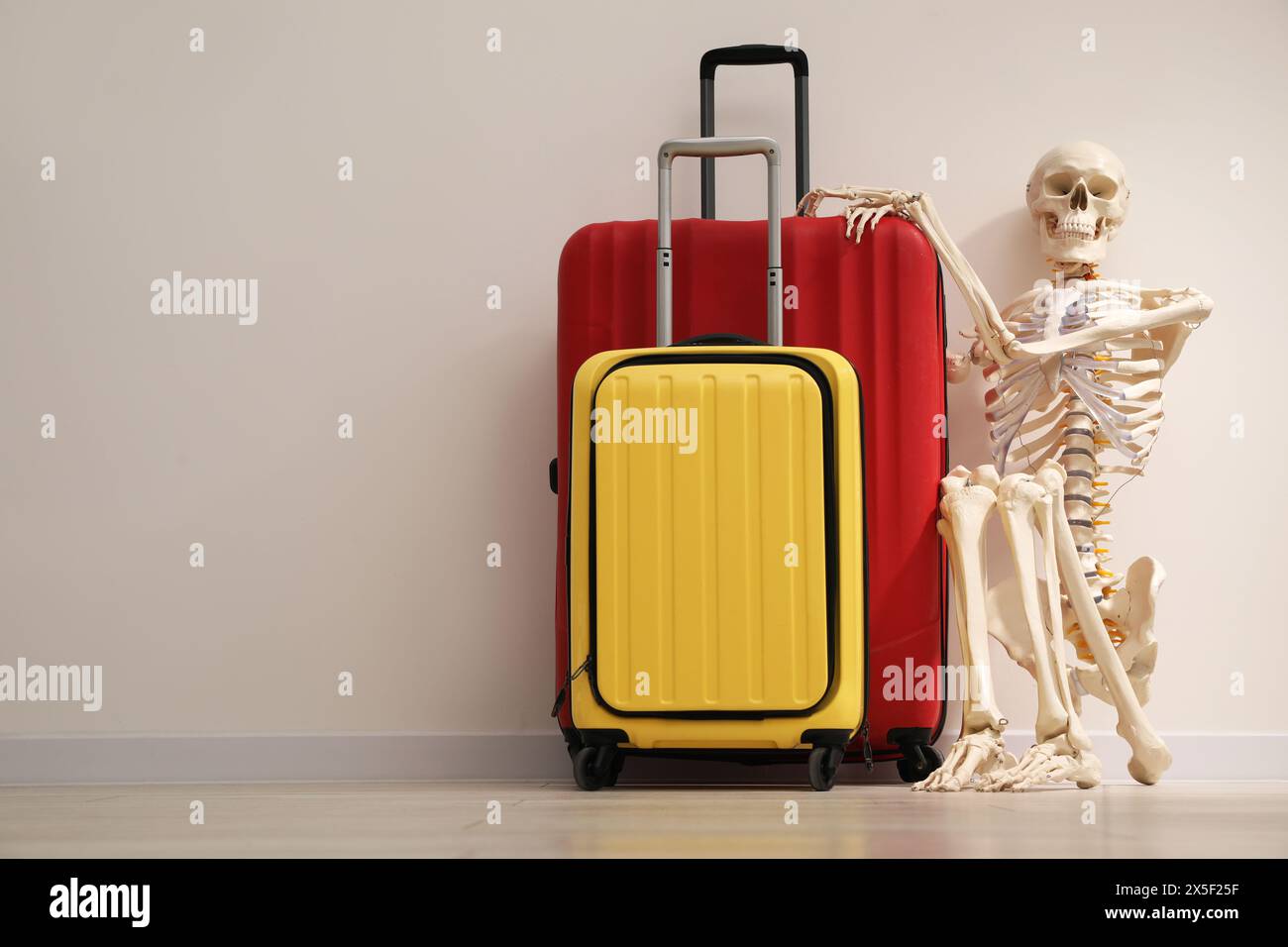 Waiting concept. Human skeleton with suitcases near light grey wall ...
