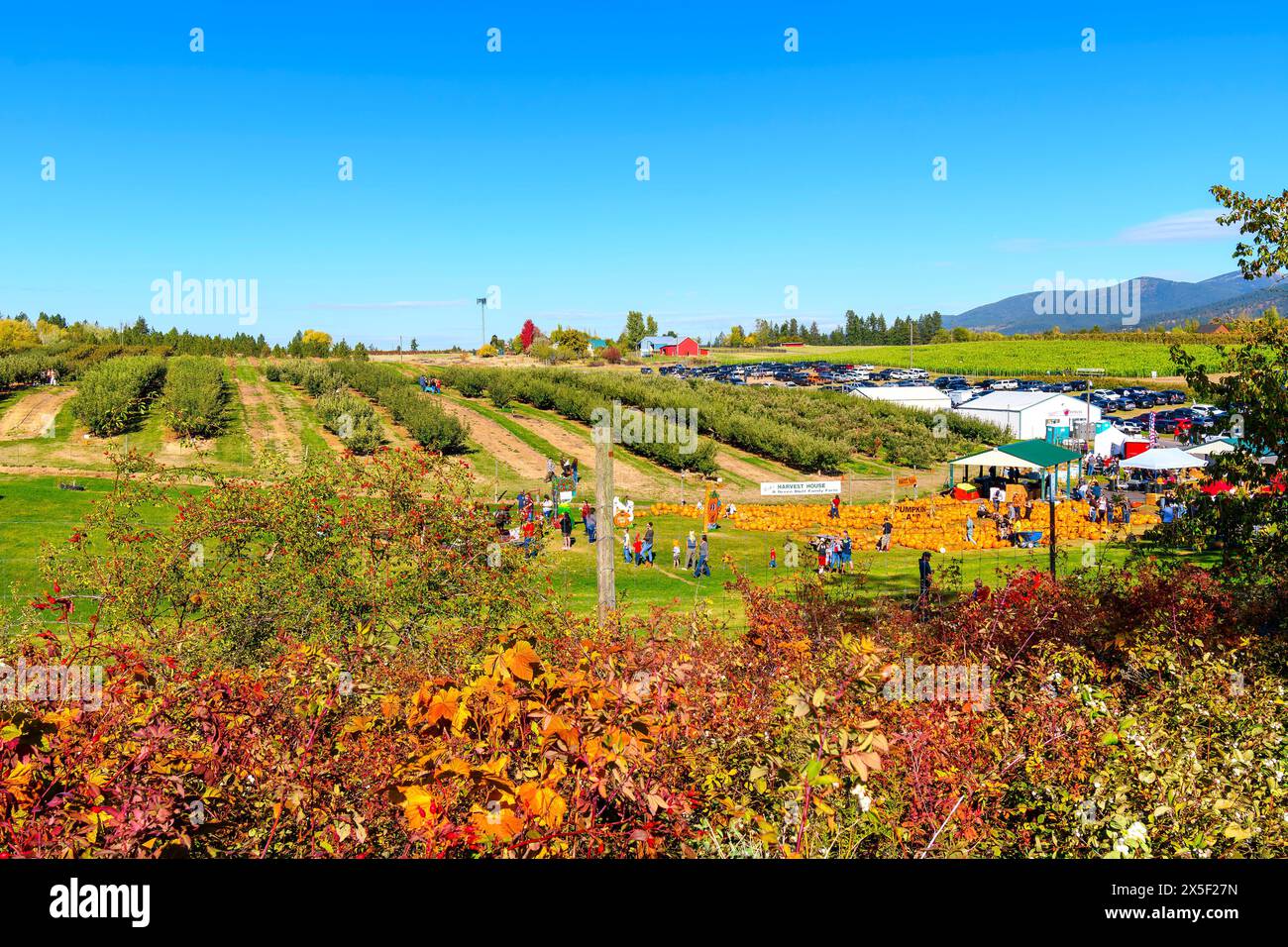 Harvest festival farmer in garden hi-res stock photography and images ...