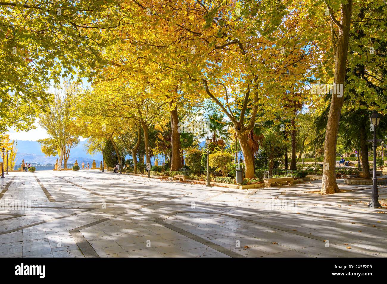 Autumn colors on the leaves at Alameda del Tajo Park located above the ...
