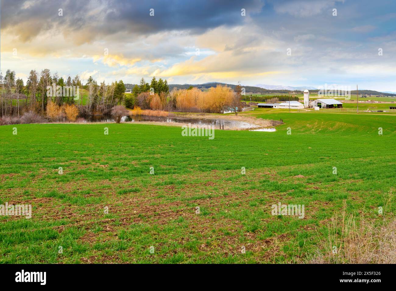 A small farm with house, barn, silo and pond surrounded by meadow and ...
