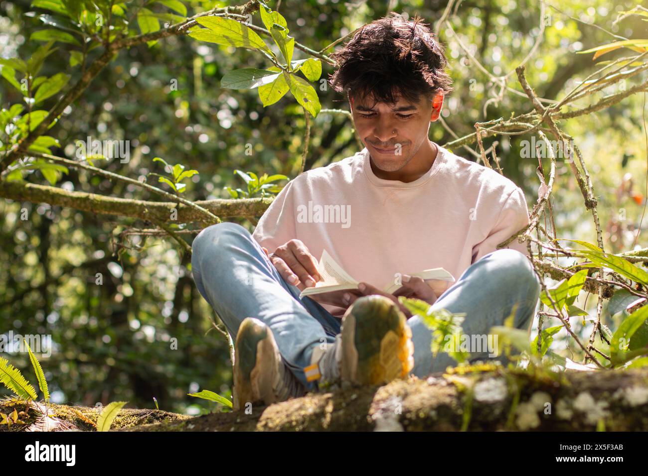 Man sitting under tree reading hi-res stock photography and images - Alamy