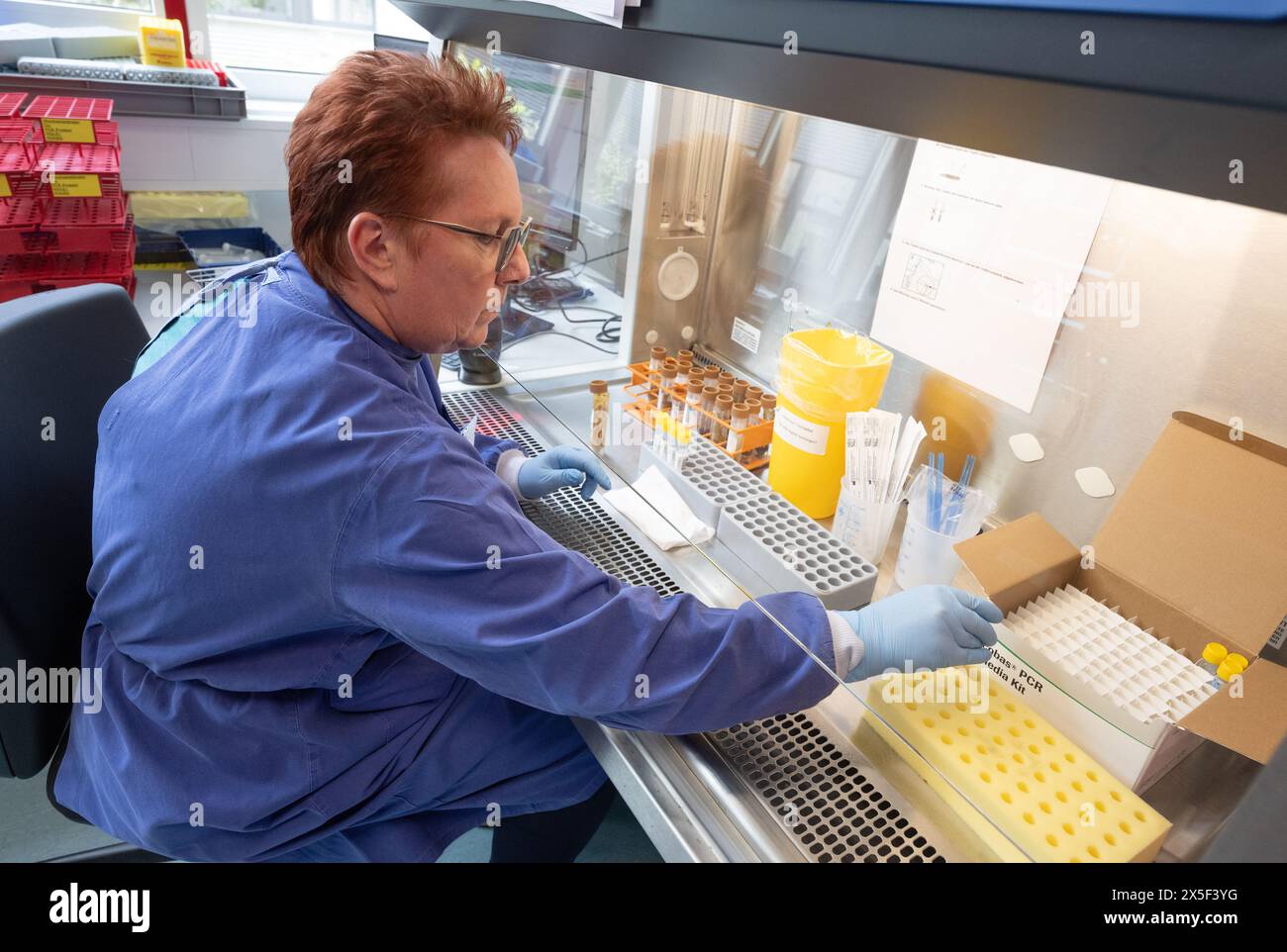 Ingelheim, Germany. 02nd May, 2024. An employee prepares stool samples ...