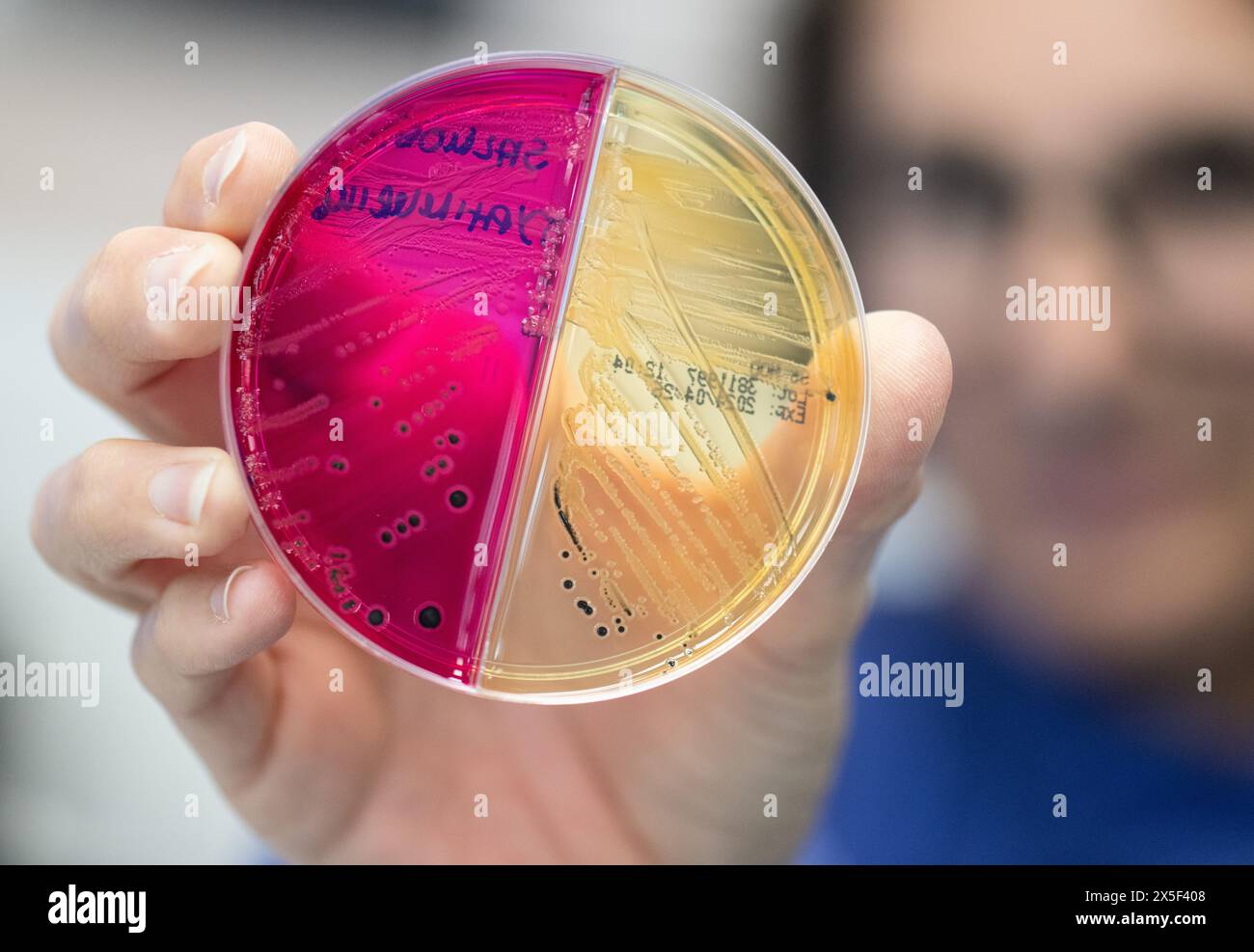 Ingelheim, Germany. 02nd May, 2024. In a Bioscientia Healthcare ...