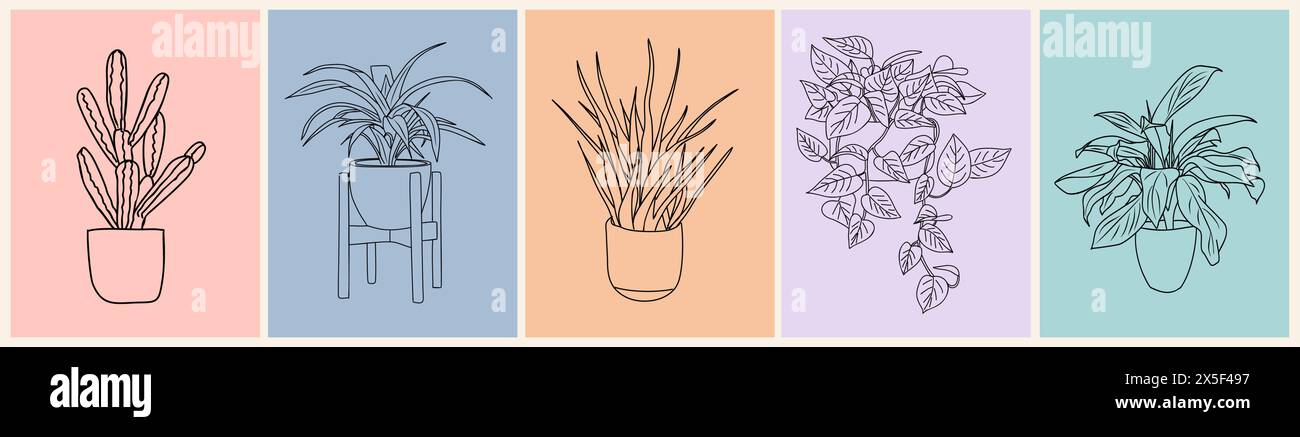 Set of Houseplants outline drawing vector isolated Stock Vector Image ...