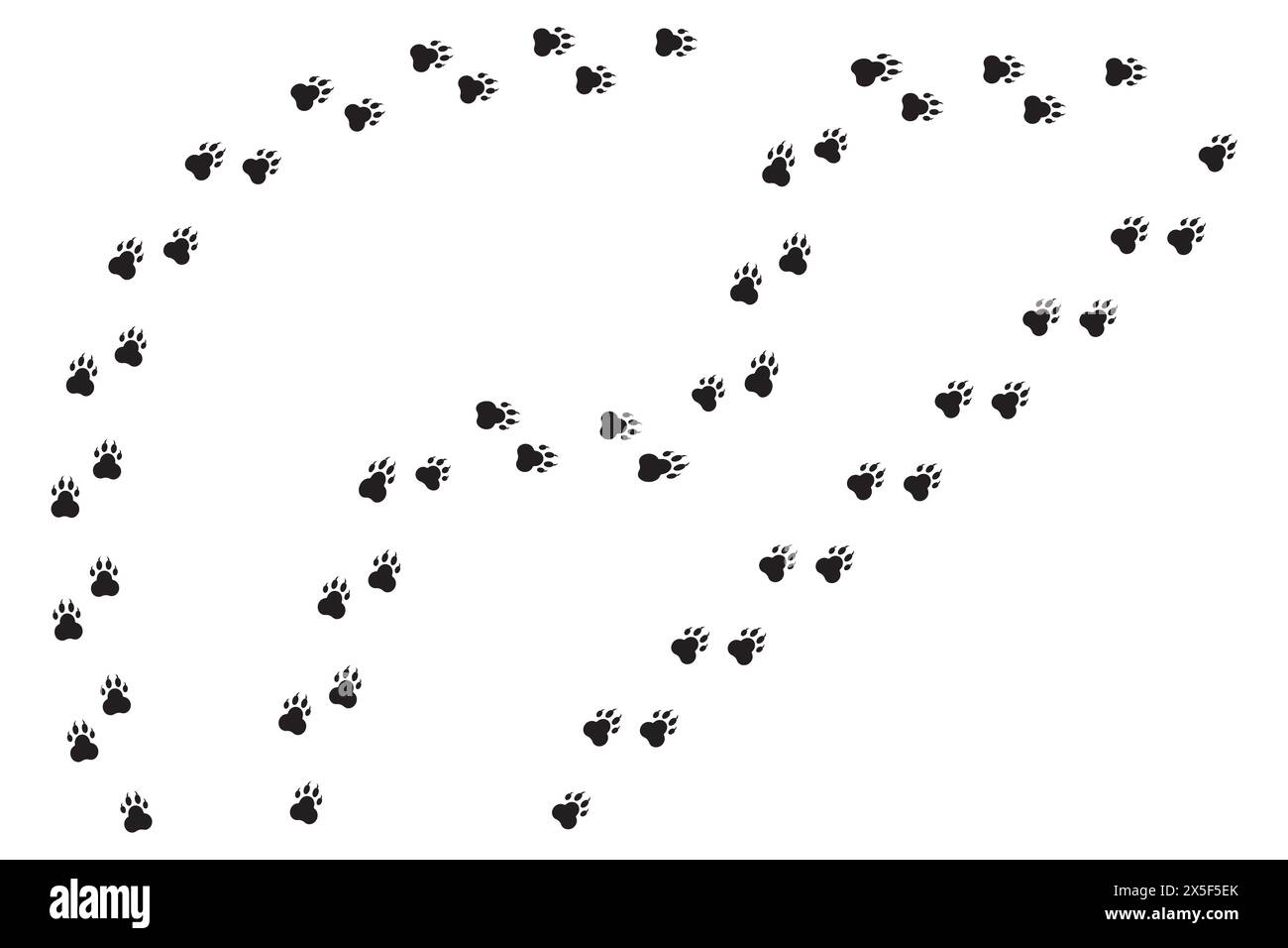 Animal paw prints path. Diagonal arrangement. Black isolated tracks on ...