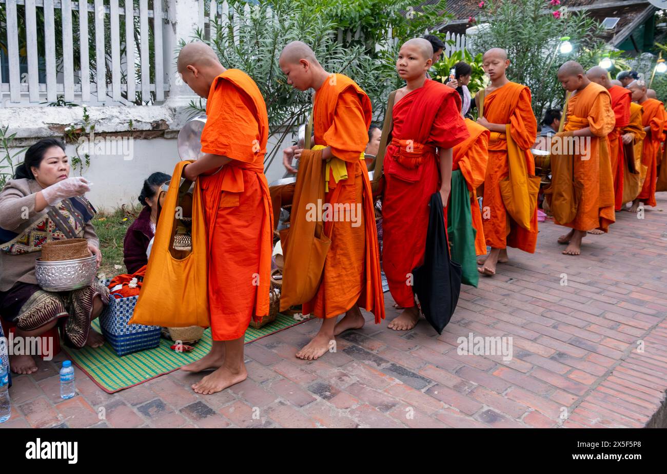 Morning Alms ceremony, Luang Prabang, Laos Stock Photo - Alamy