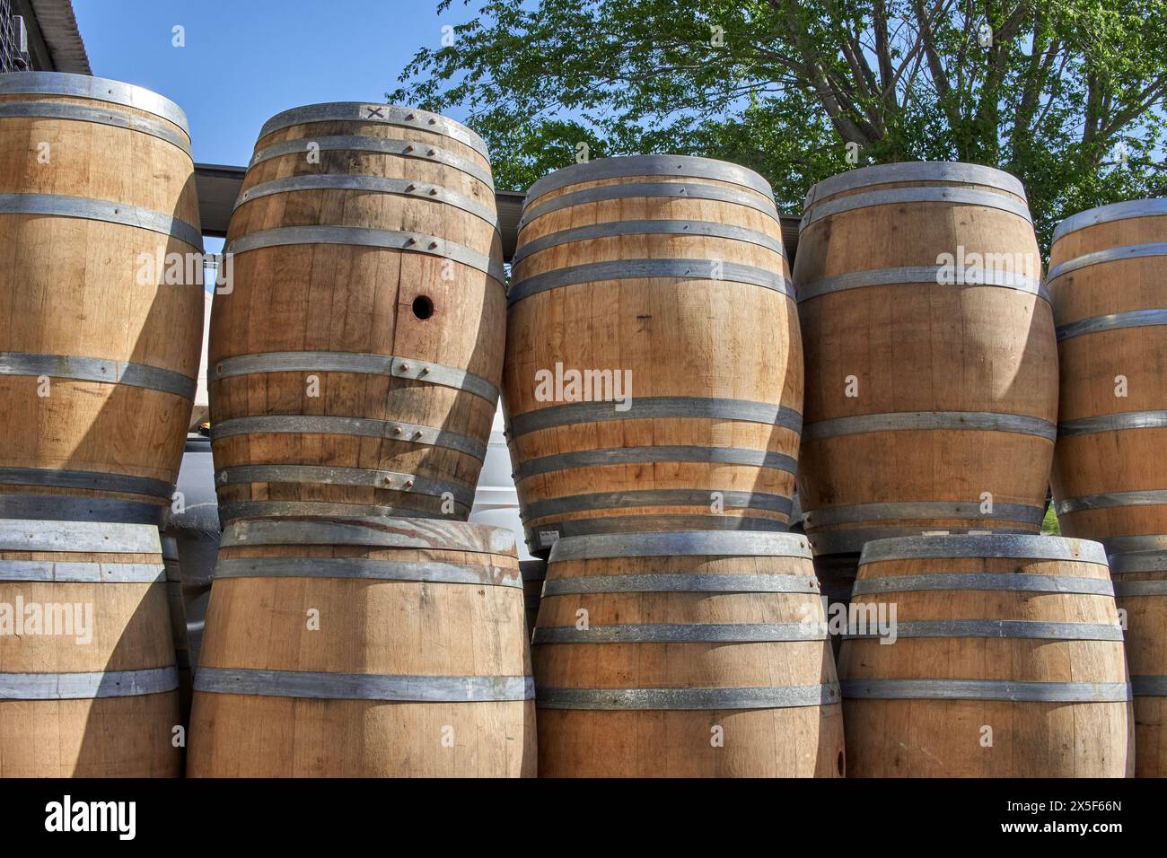 Grape vineyard vintage barrel hi-res stock photography and images - Alamy