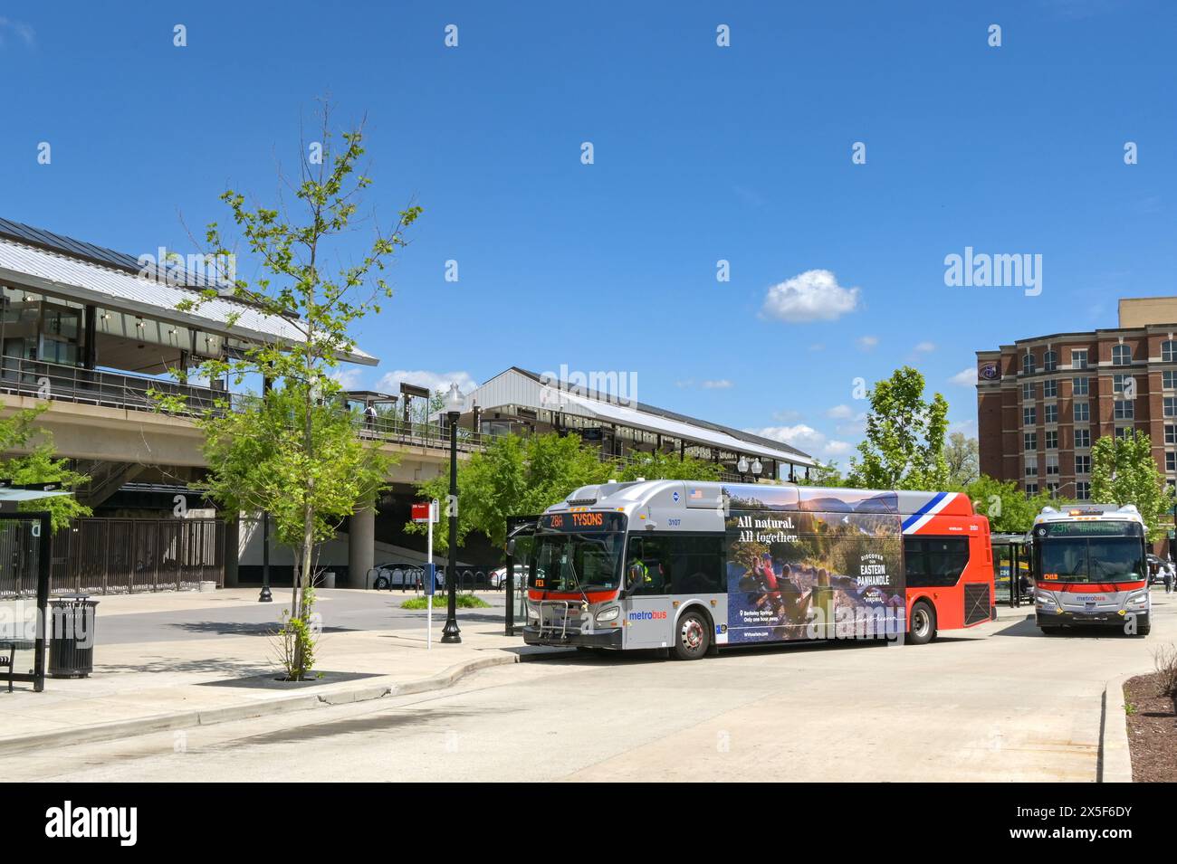 Alexandria, Virginia, USA - 1 May 2024: Buses parked in the town's bus ...