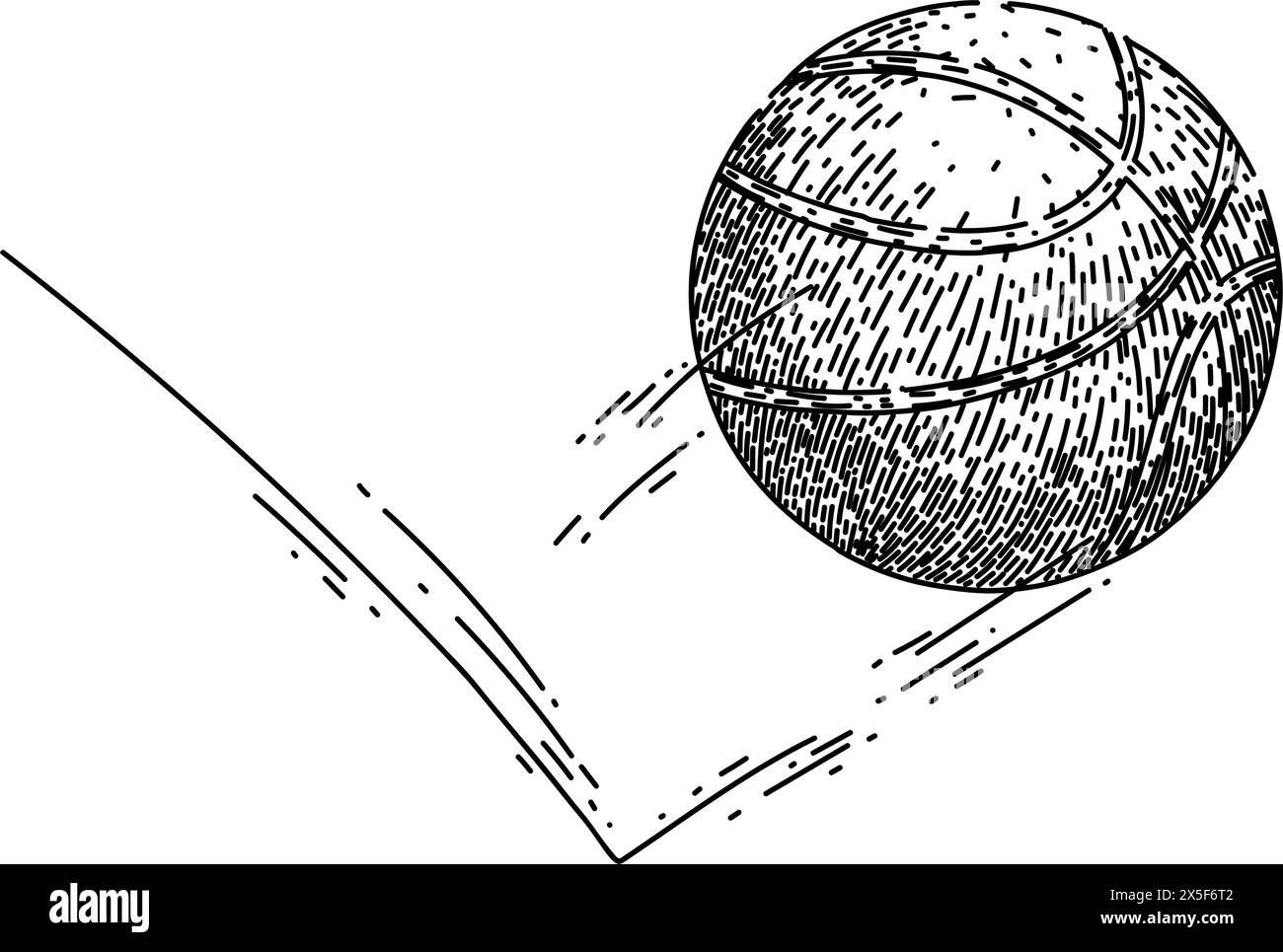isolated basketball ball sketch hand drawn vector Stock Vector Image ...