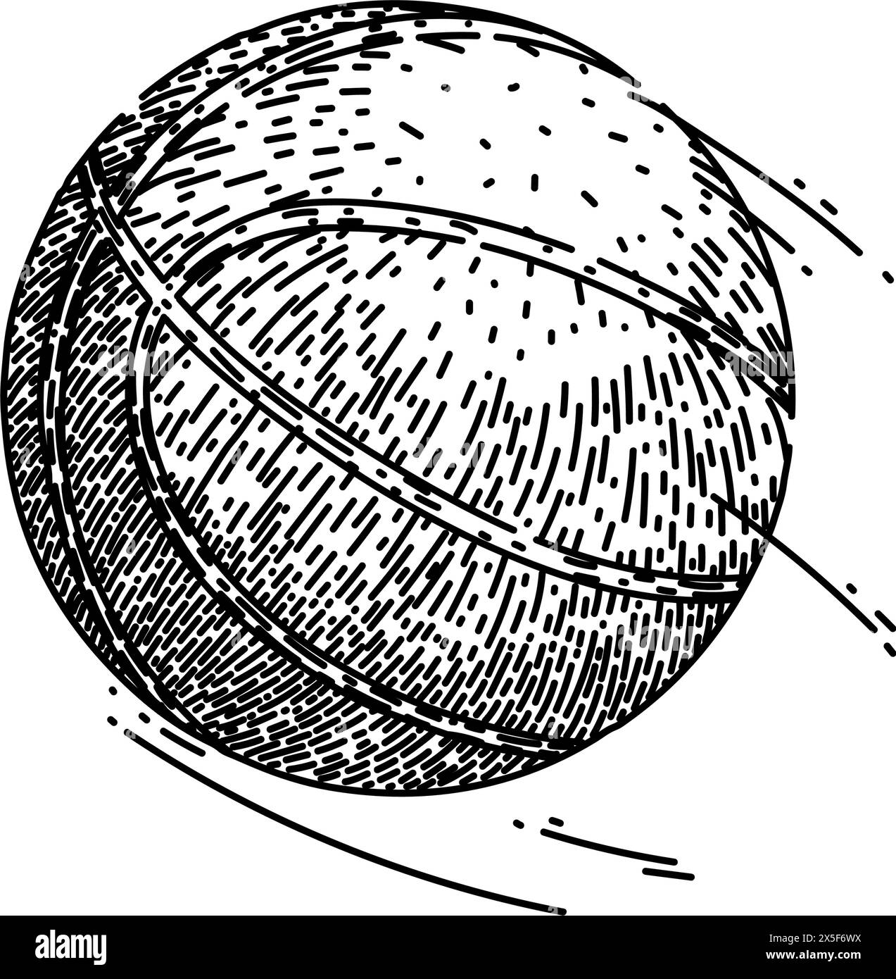 orange basketball ball sketch hand drawn vector Stock Vector Image ...