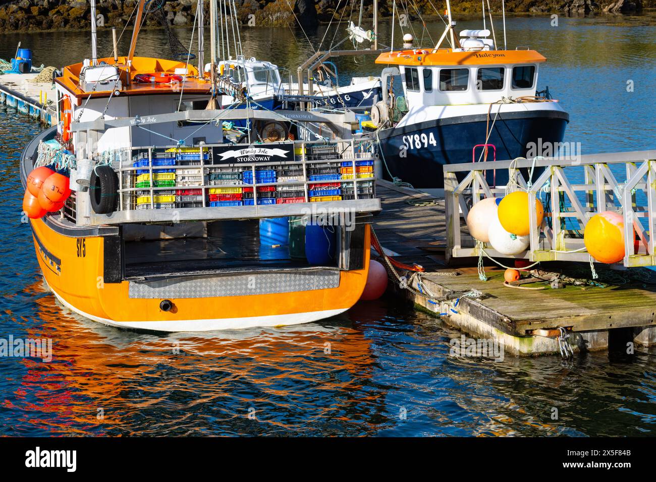 Stockinish hi-res stock photography and images - Alamy