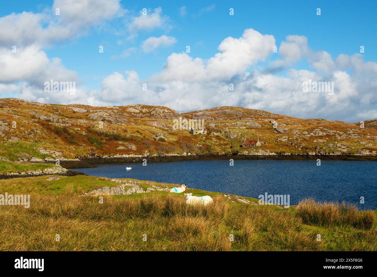 Isle of Harris, Outer Hebrides, Scotland Stock Photo - Alamy