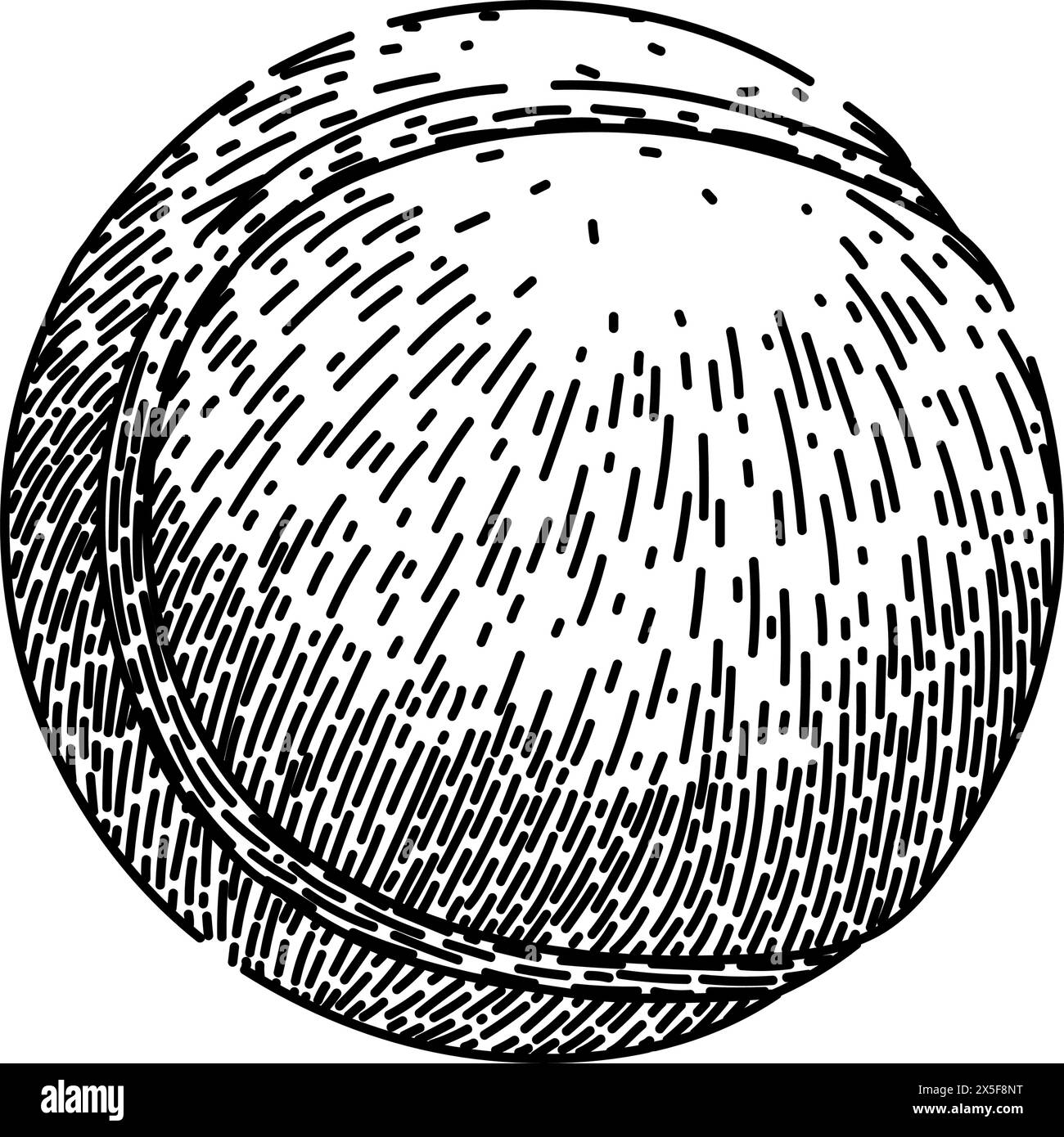 racket tennis ball sketch hand drawn vector Stock Vector Image & Art ...