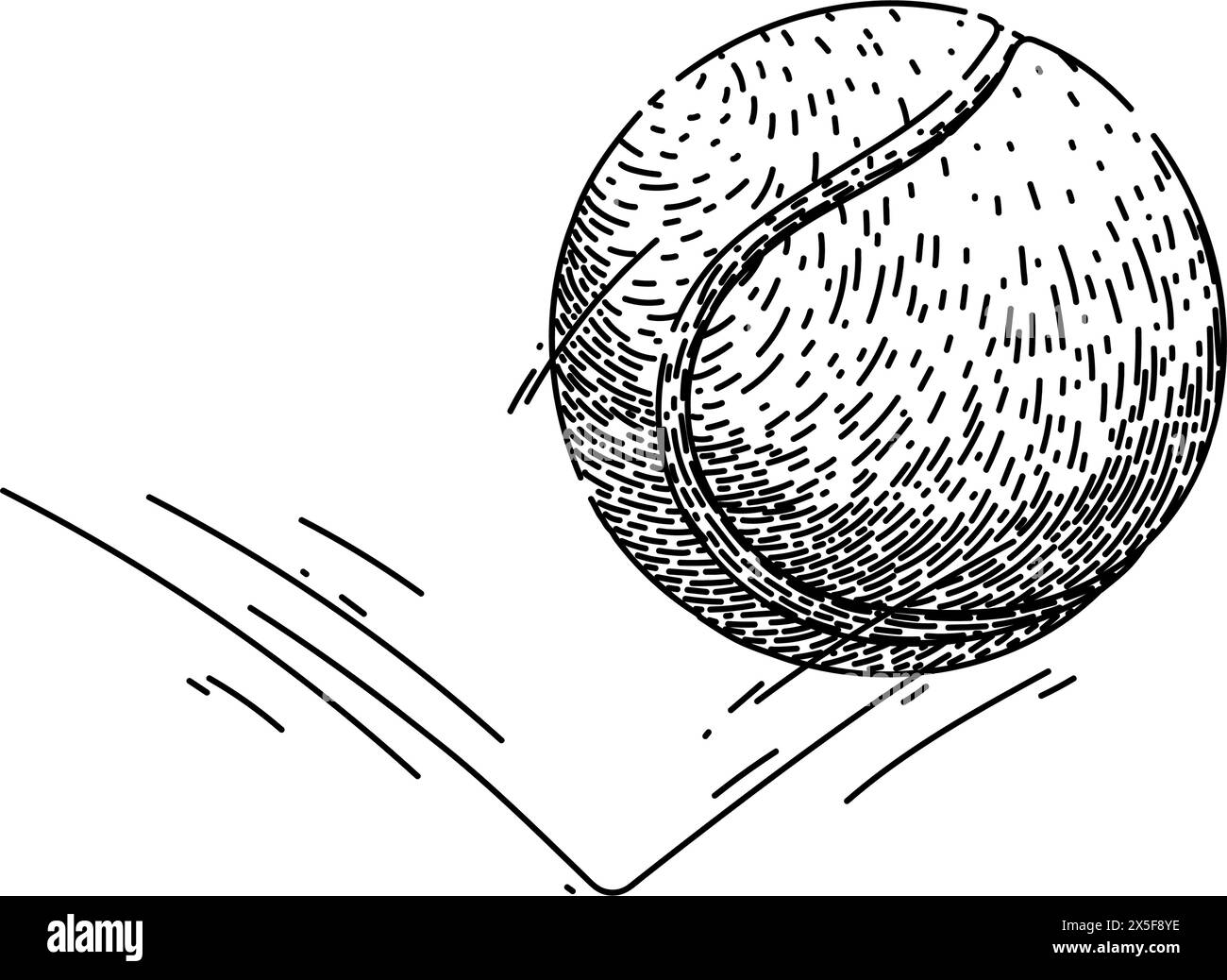 isolated tennis ball sketch hand drawn vector Stock Vector Image & Art ...