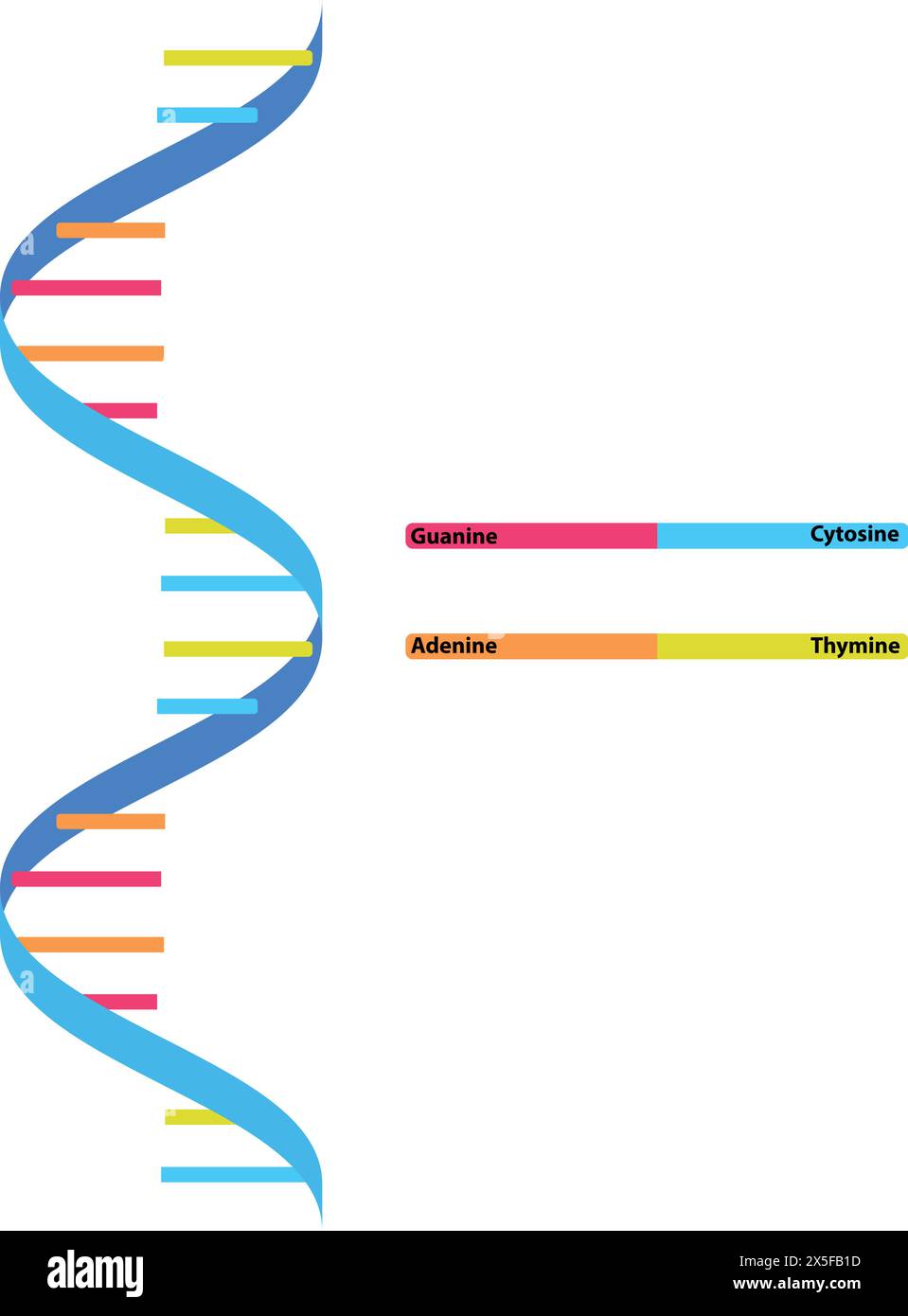 Rna Design In Medical Rna Scientific Rna With Details Rna Sign