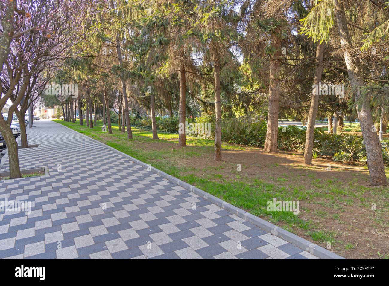 English Park at Spring Day in Old Town Craiova Romania Stock Photo - Alamy