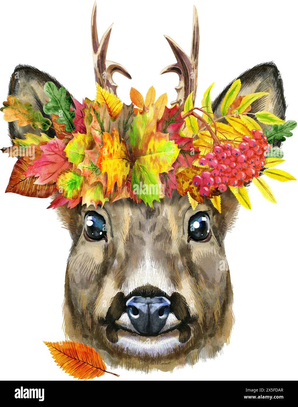 Watercolor drawing of the animal - roe deer in autumn wreath, sketch ...