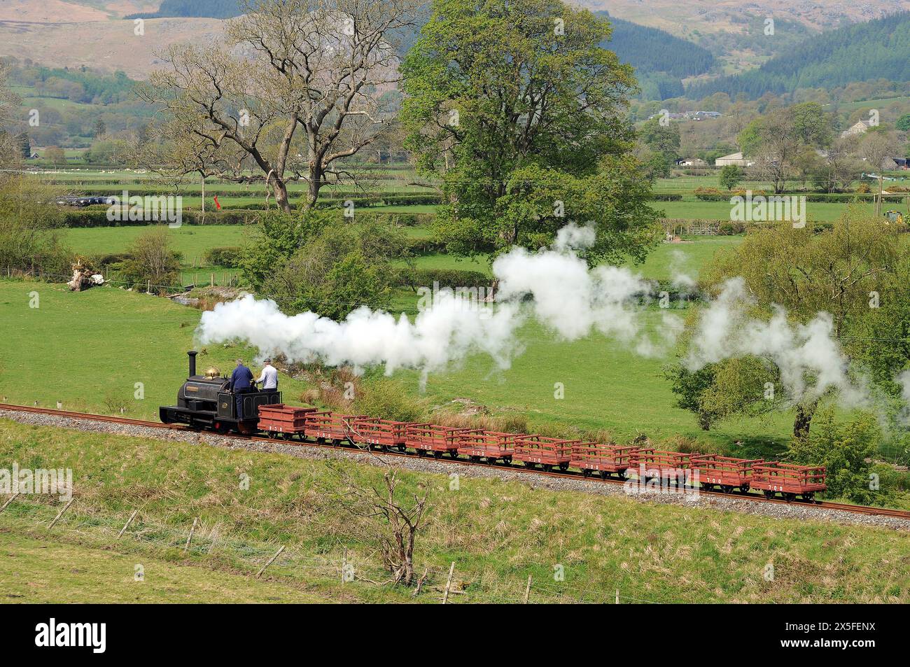 "Winifred" near Dolfawr with a train of slate wagons Stock Photo - Alamy