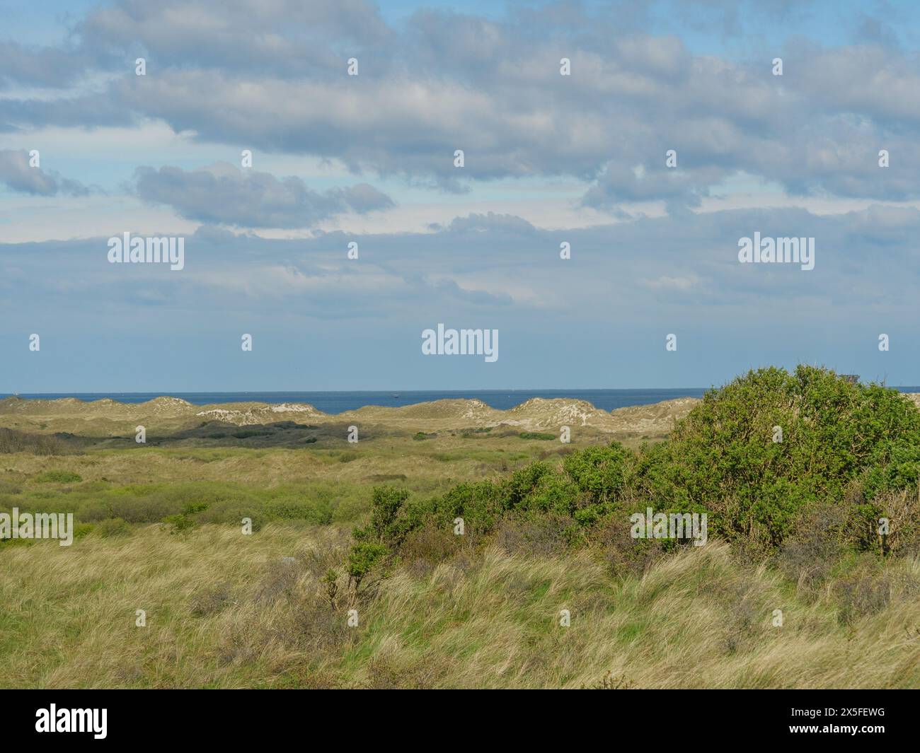the island of Ameland in the north sea Stock Photo - Alamy