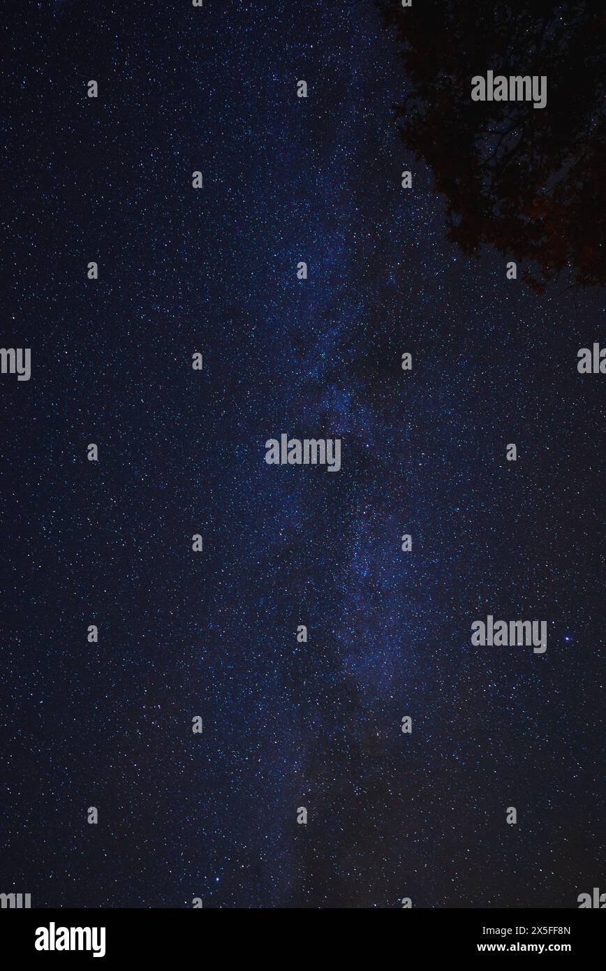 Starry Night Sky Over Earth, Milky Way Galaxy View Stock Photo - Alamy