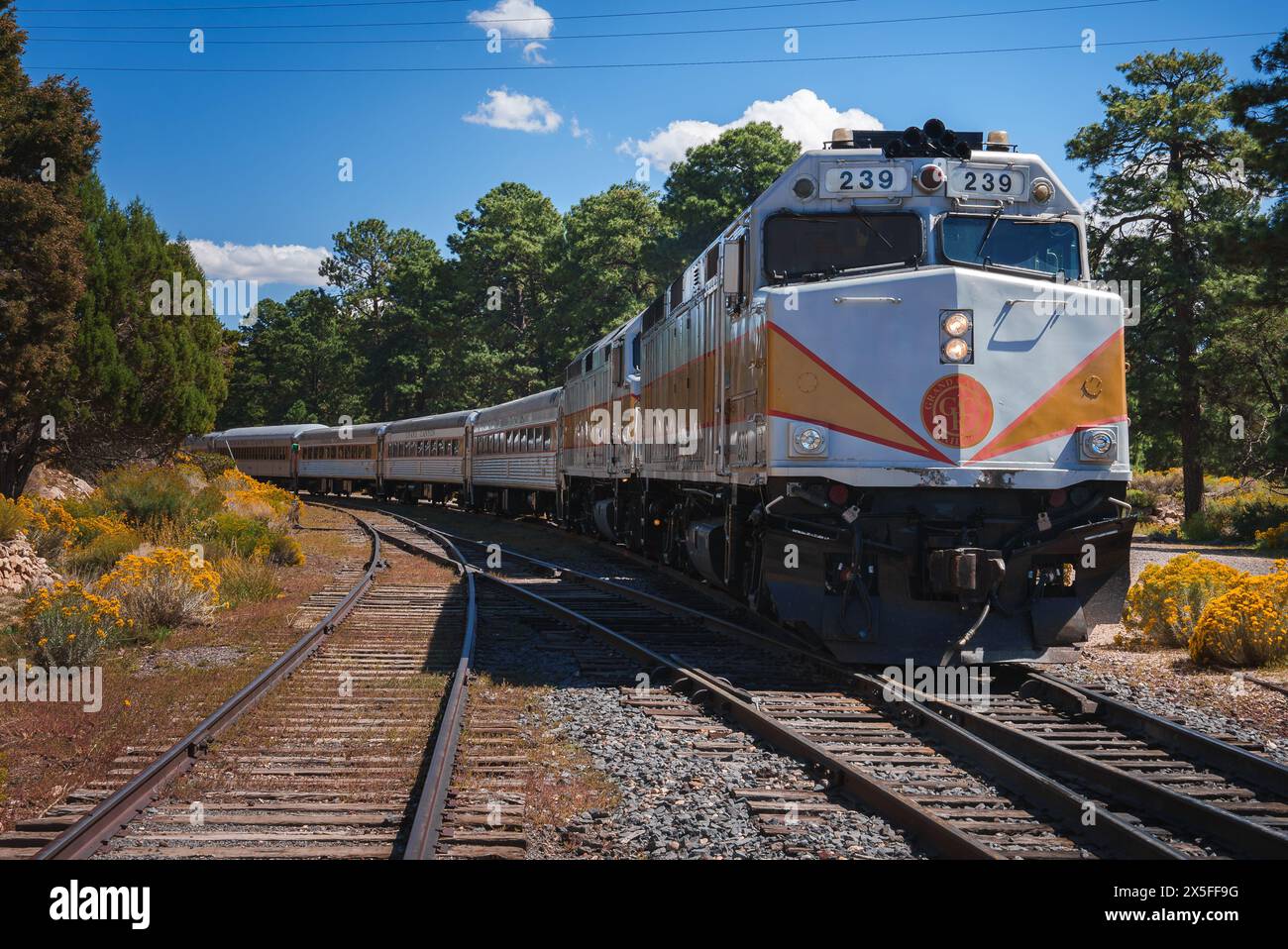 Diesel Locomotive 239 Pulls Colorful Passenger Train along Railroad ...