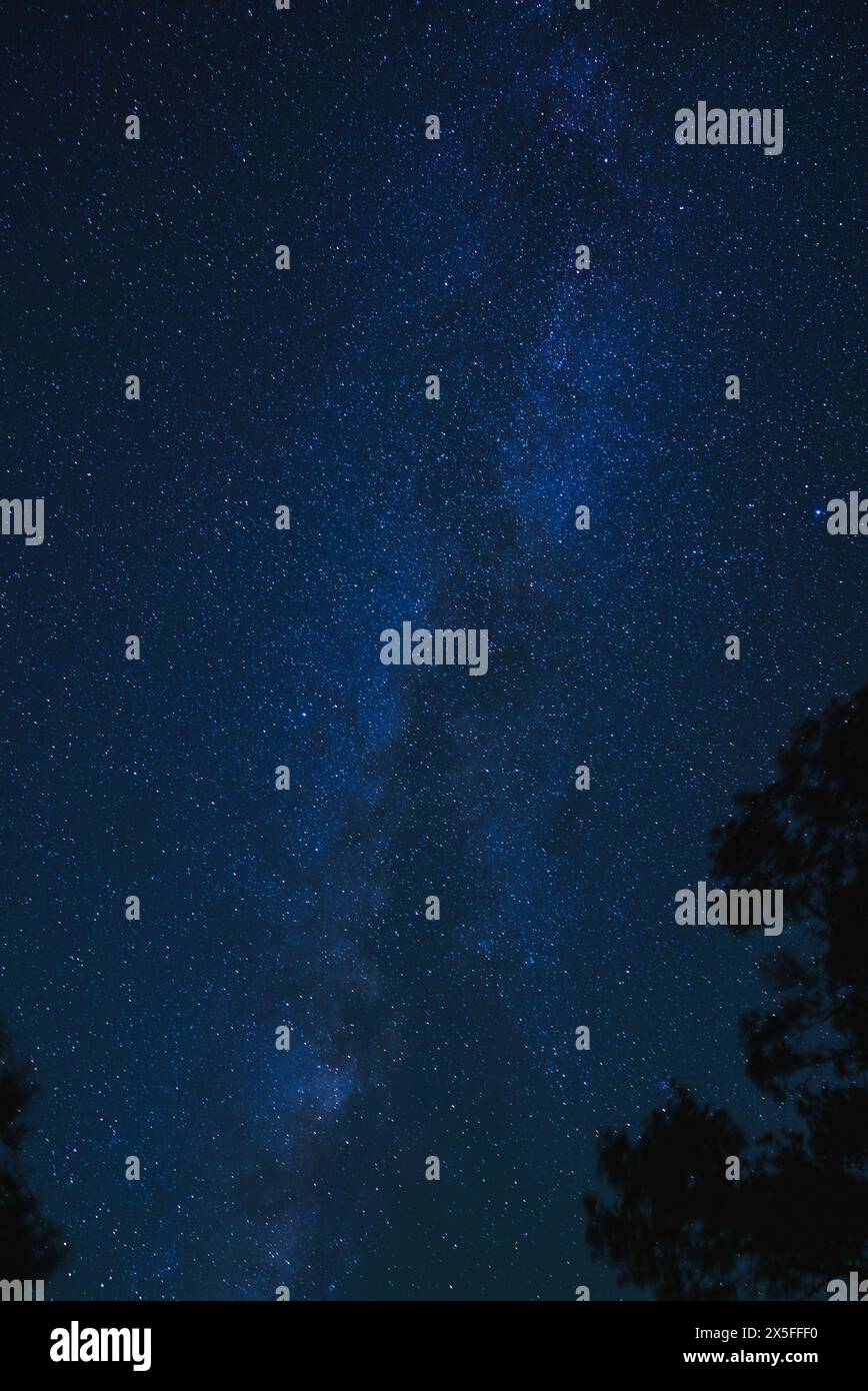 Starry Night Sky with Milky Way Galaxy over Trees, Clear View, Rural ...