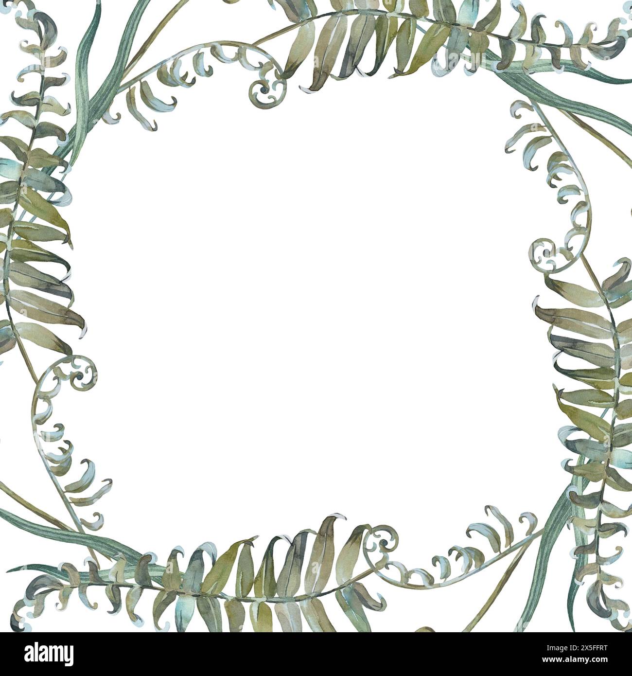 Floral frame with fern and herbs isolated on white background. Hand ...