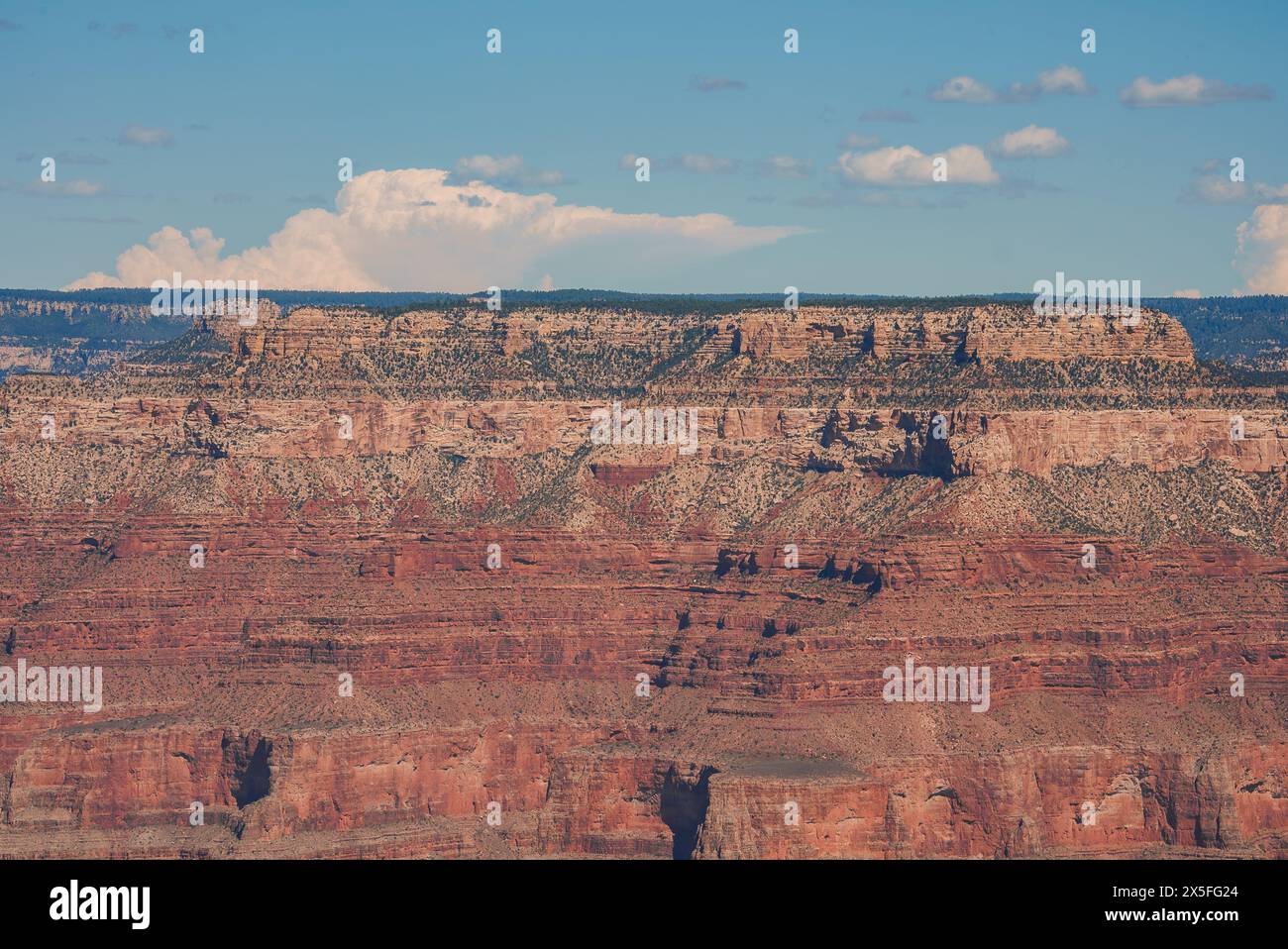 Grand Canyon Red Rock Layers, Arizona Landscape Scene Stock Photo - Alamy