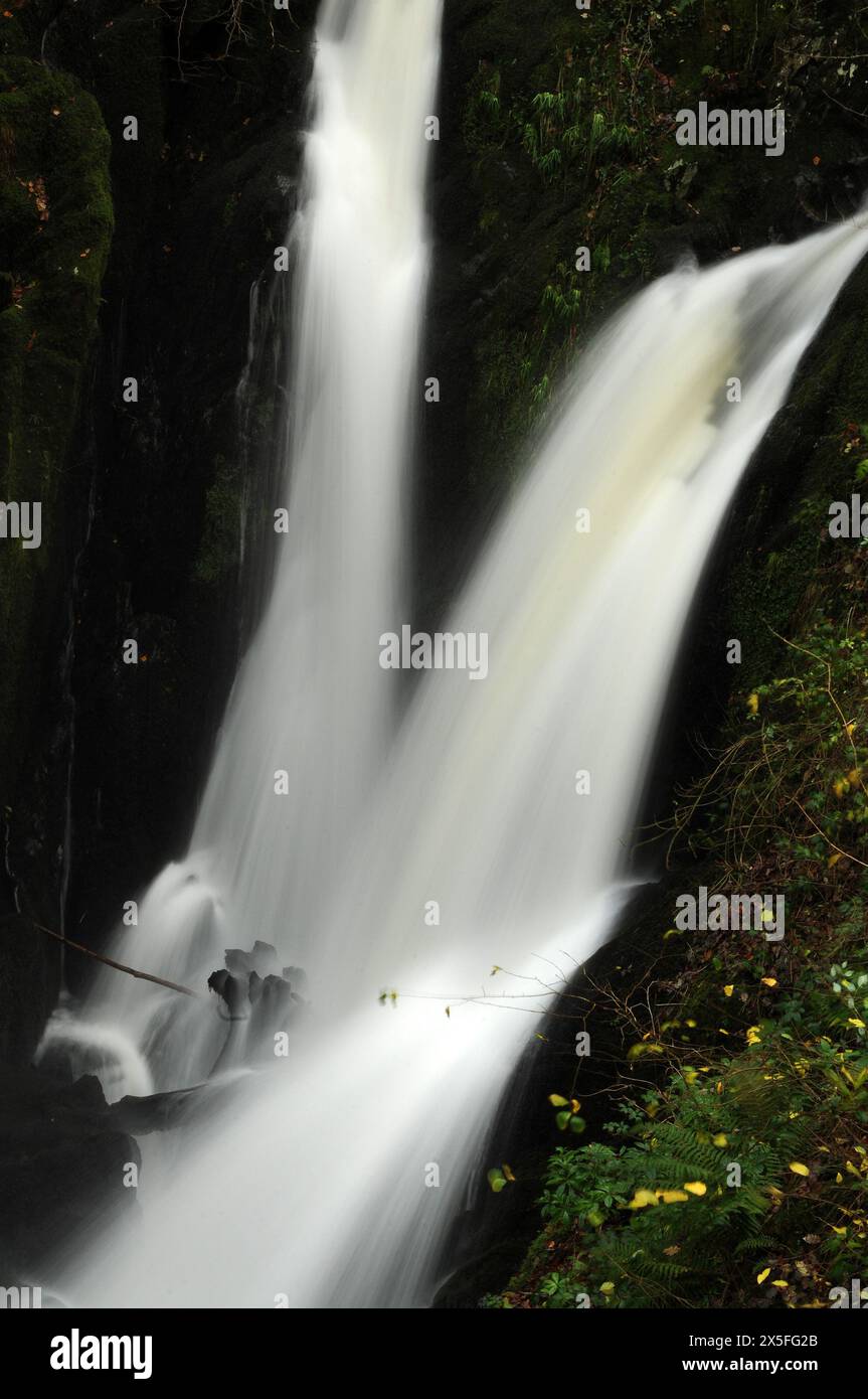 Stock Ghyll Force, Ambleside Stock Photo - Alamy
