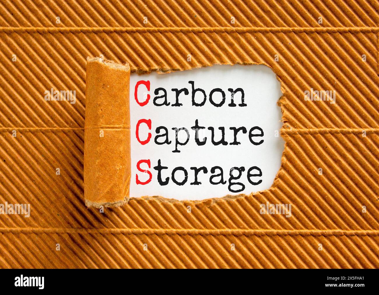CCS Carbon capture storage symbol. Concept words CCS Carbon capture ...
