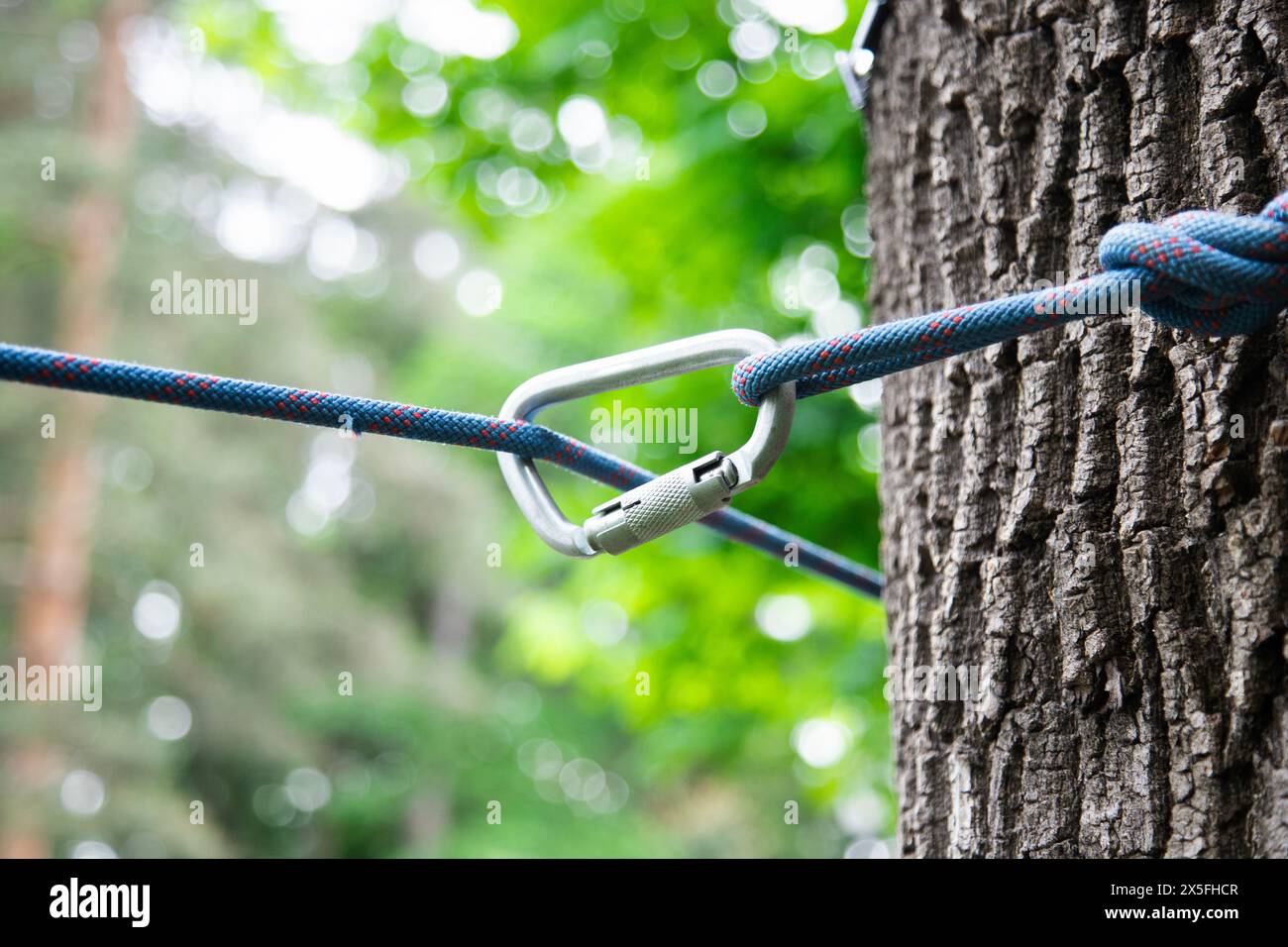 Climbing rope with carabiner attached to a tree Stock Photo - Alamy