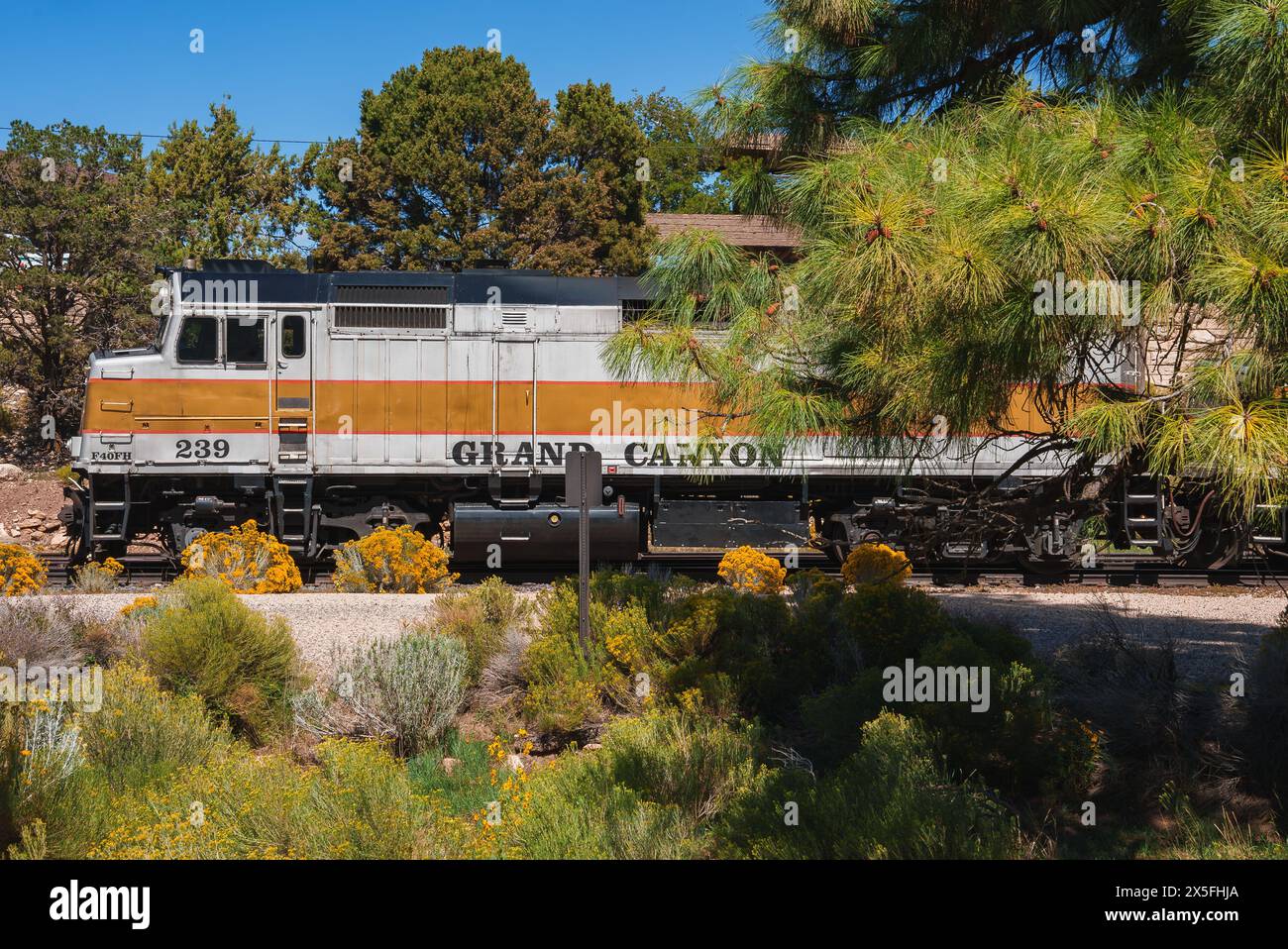 Vintage Locomotive at Grand Canyon Railway, Arizona Stock Photo - Alamy