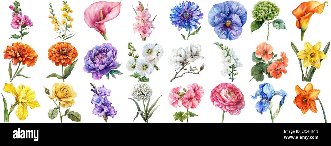Watercolor flower set isolated background. Various floral collection of ...
